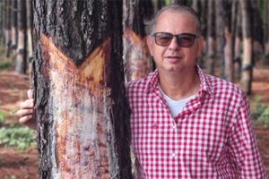 Founder & Managing Partner – CV Timber